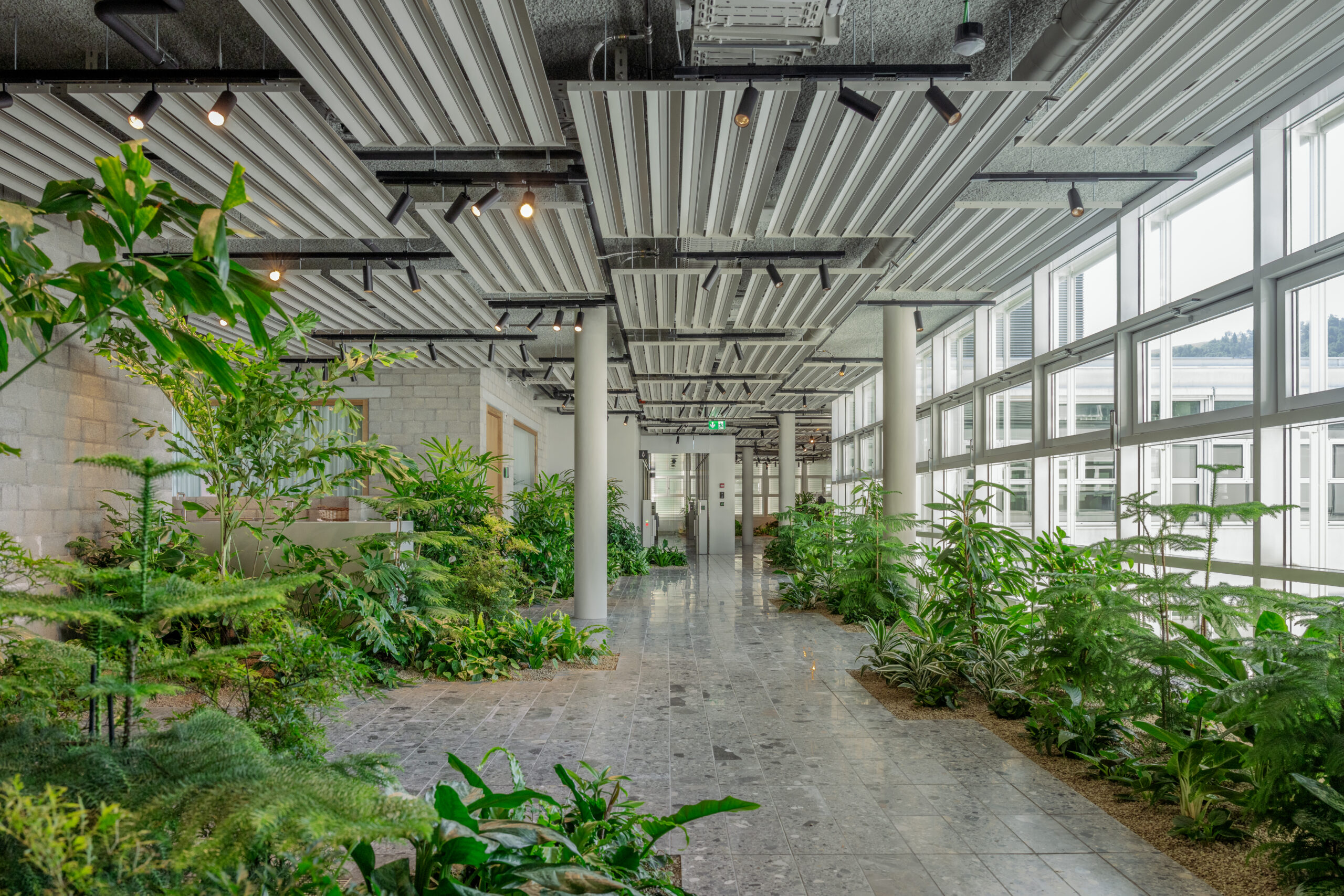 Holcim, zug, Switzerland | MOSS Amsterdam